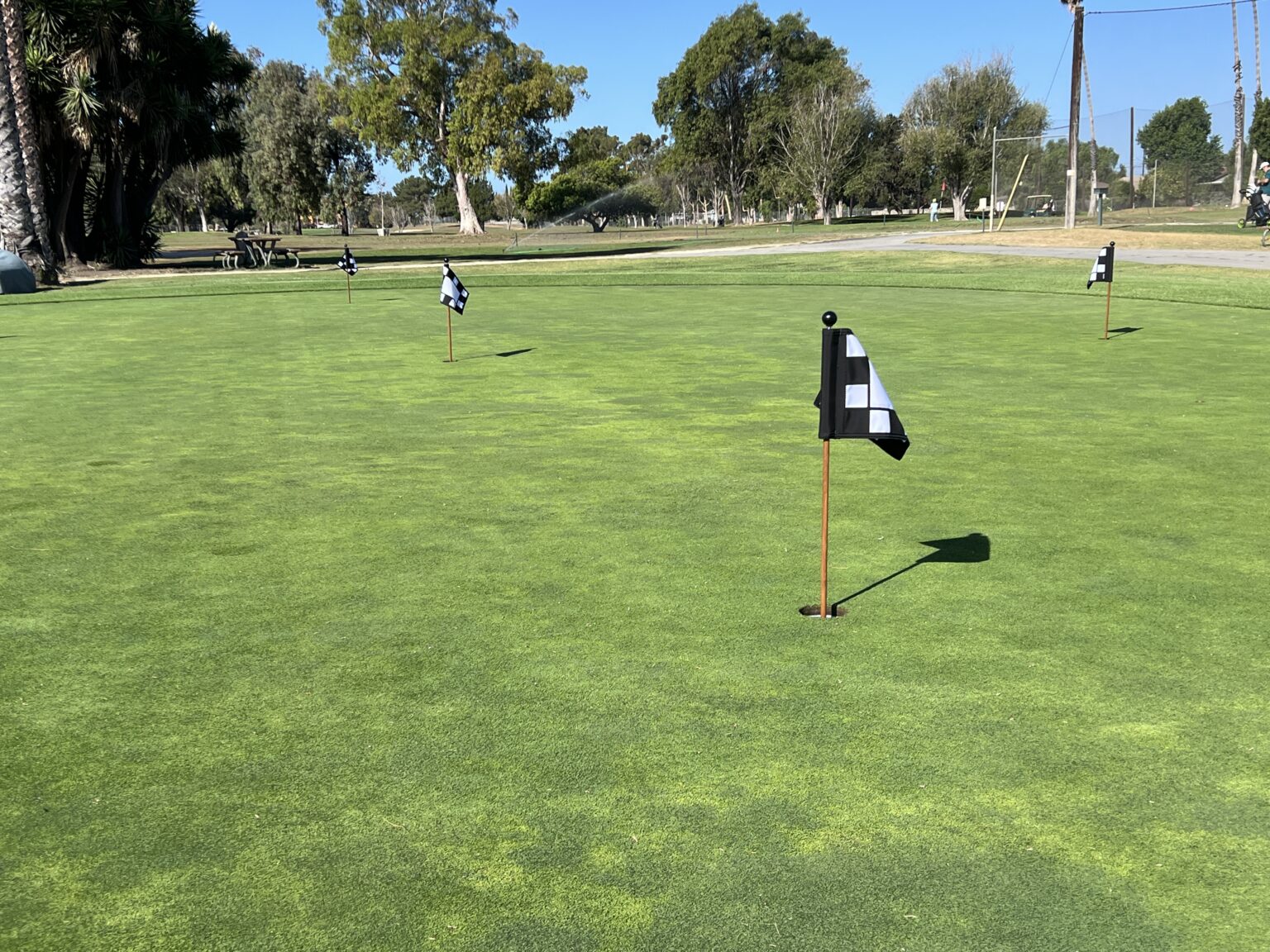 Saticoy Regional Golf Course | American Golf Corporation